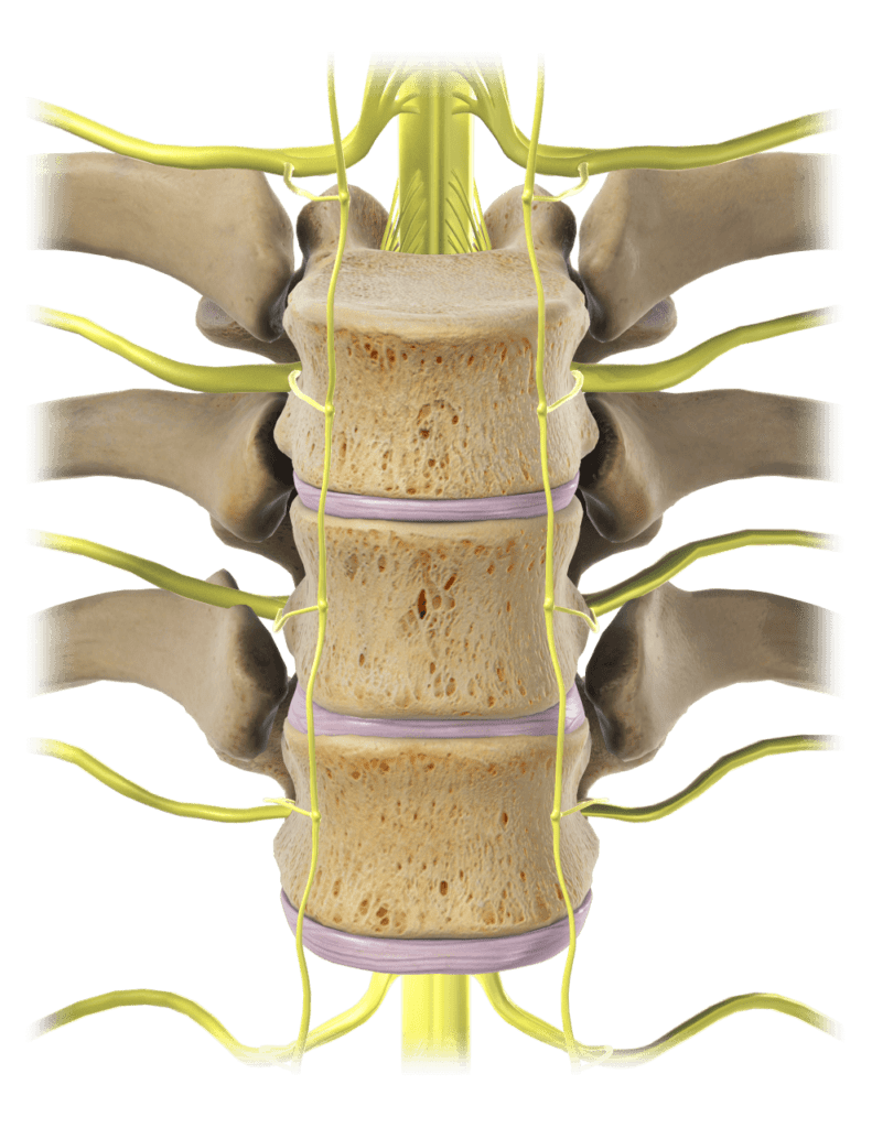 Middle Back Pain Diagnosis and Treatment in Arizona | DISC