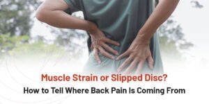 Muscle Strain or Slipped Disc? How to Tell Where Back Pain Is Coming ...